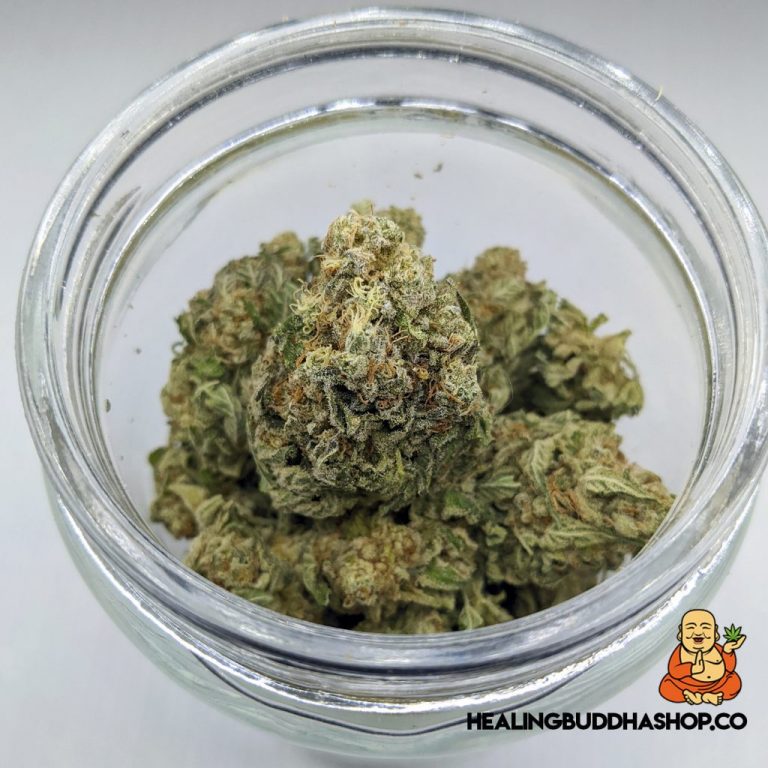 Miracle Alien Cookies | HealingBuddhaShop.co